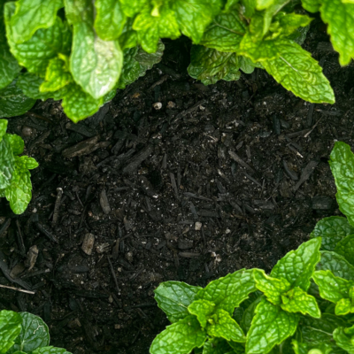 STA Certified Compost - Bagged - Pallet - Cubic Yard